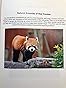Red Panda: Learn About Red Pandas-Amazing Pictures & Fun Facts (Amazing ...