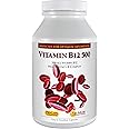 Andrew Lessman Vitamin B12 500 180 Capsules – Absorption-Protected ...