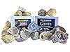 Combo Pack - 13 Large Break Open Your Own Geodes - Mexican Trancas ...