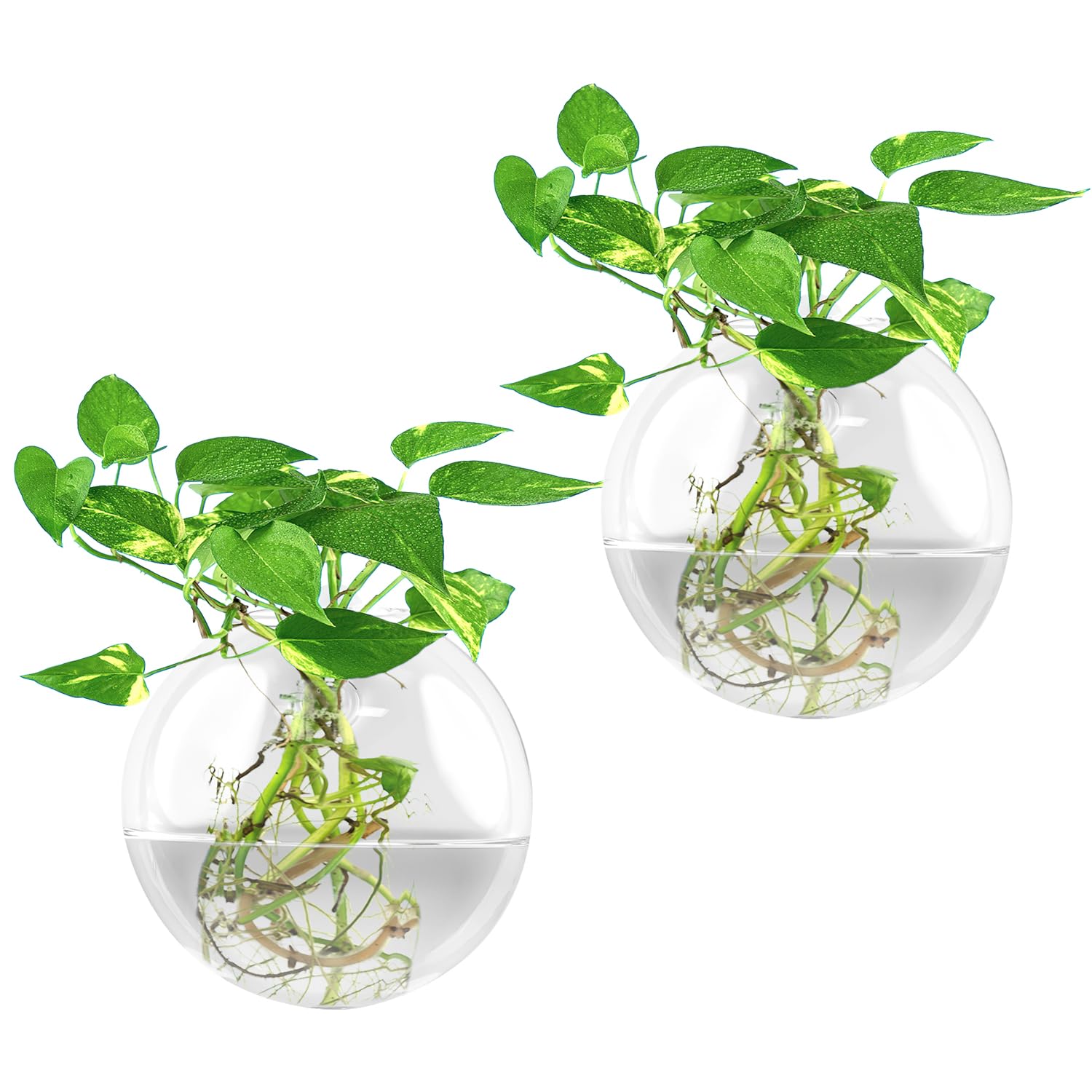Wall Vases,Wall Hanging Planter Propagation Station,Clear Plant ...