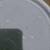 Buy MICROACTIVE Fortune 2 in 1 Fully Automatic Domestic Flour Mill ...