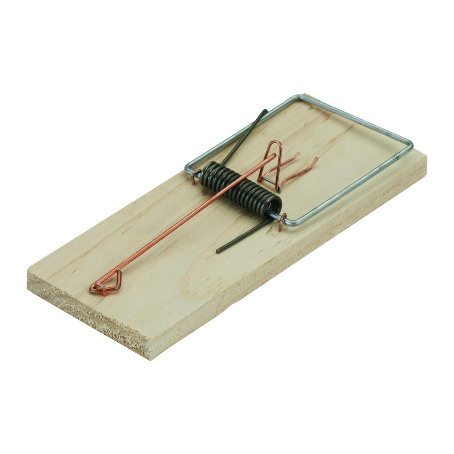 Sauvic 15135 RATONERA DE Madera Grande EN Blister 17.50x7.20x1.20 cm ...