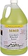 Amazon.com: MMR Professional Strength Instant Mold and Mildew Stain ...