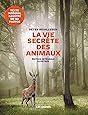 Amazon.fr - La Vie secrète des arbres - Edition illustrée - Peter ...
