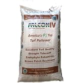 Amazon.com : SeedRanch Falcon IV Turf Type Tall Fescue Grass Seeds - 50 ...