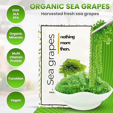 Mua Sea Grapes to Eat Seaweed Snacks Salad Kit 100GR VeganZen Umibudo ...