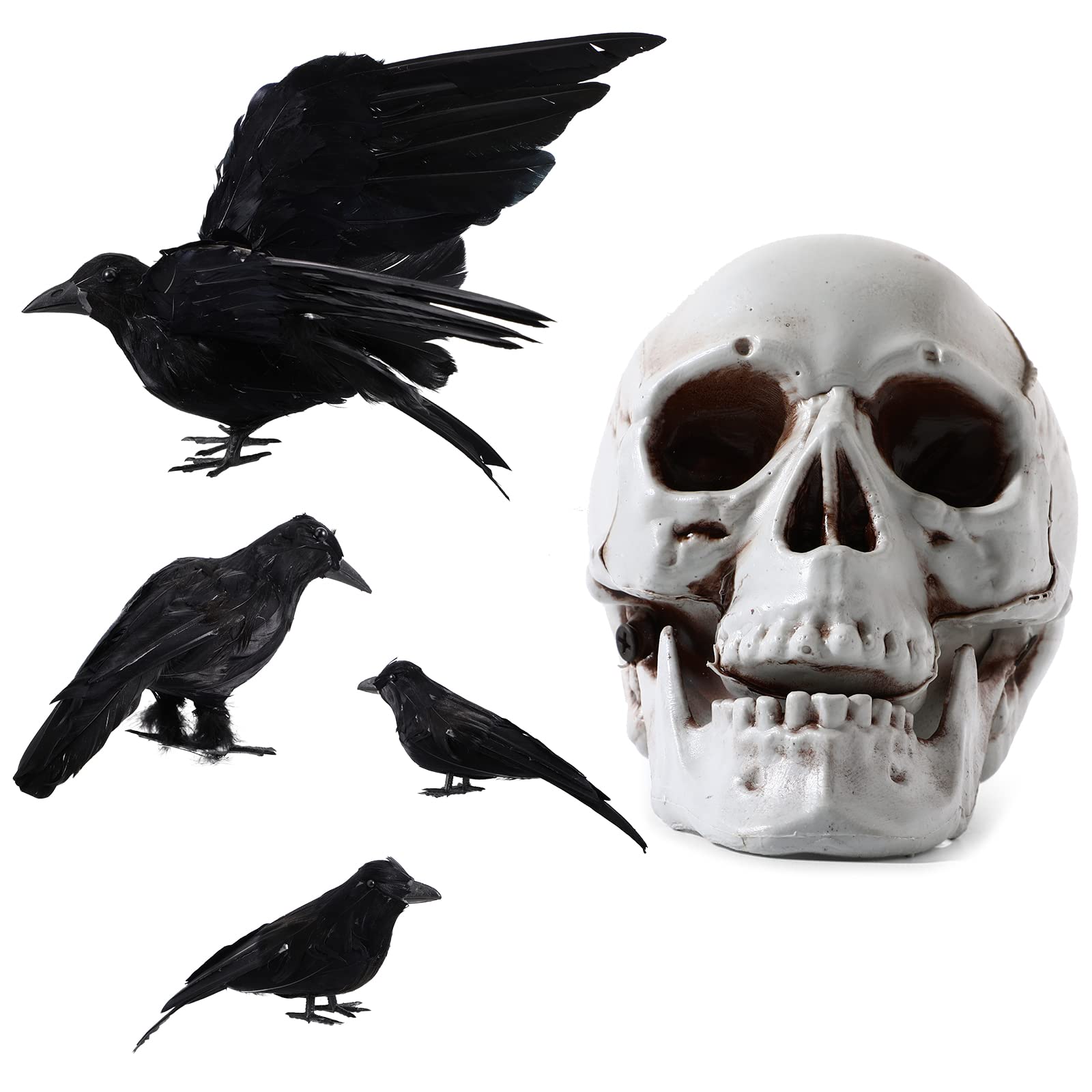 Yerliker 5 Pcs Halloween Black Feathered Crow and Skull Statue Set ...