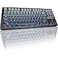 Amazon.com: ZORNHER ZH870 Wireless Mechanical Gaming Keyboard,80% Black ...