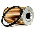 Amazon.com: GM Genuine Parts GF62 Fuel Filter : Automotive