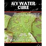 My Water Cure: Mgr Sebastian Kneipp: 9782917813133: Amazon.com: Books