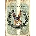 Amazon.com: Weasval French Rabbit Carte Postale Vintage Tin Sign ...