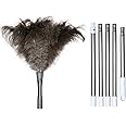 Amazon.com: Midoneat Gray Ostrich Feather Duster with 71Inch Pole ...