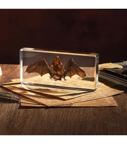 Taxidermy Bat Real Bat Specimen In Resin - 3x3x1 Inch Taxidermy For ...