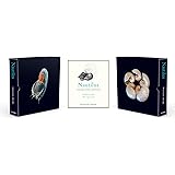 Heteromorph: The Rarest Fossil Ammonites: Nature at its Most Bizarre ...