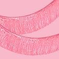 Amazon.com: xo, Fetti Pink Iridescent Fringe Banner - 5 Ft ...