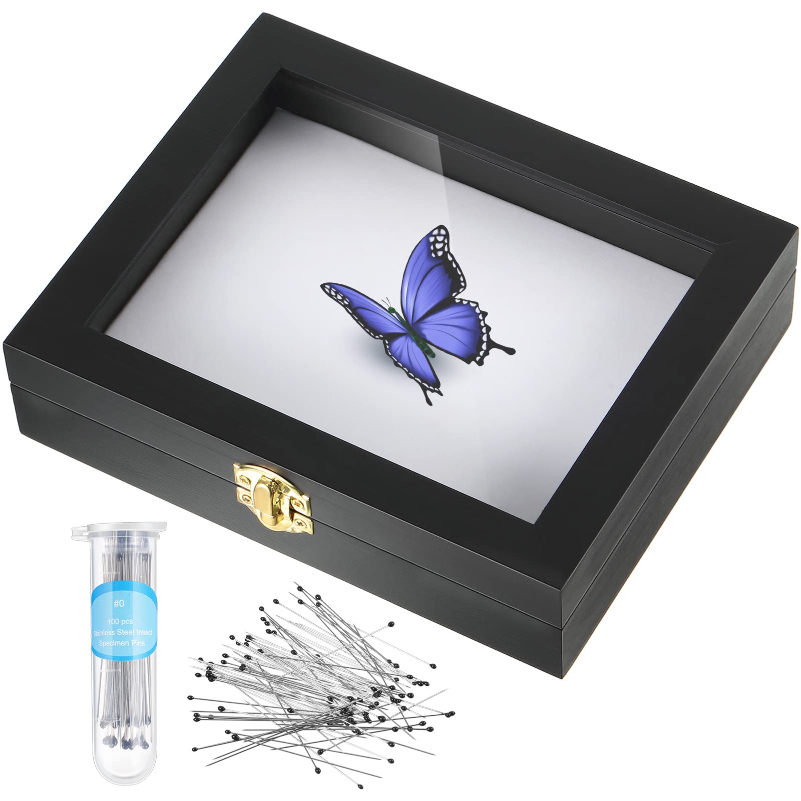 Insects & Insect Kits Oman | Buy Online | Whizz Others