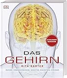 Unser kreatives Gehirn: Wie wir leben, lernen und arbeiten: Amazon.de ...