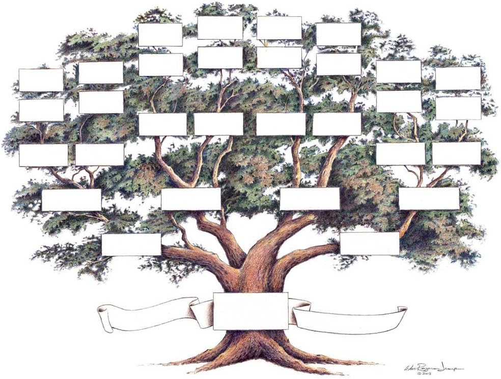 4 Generation Family Tree Template Collection