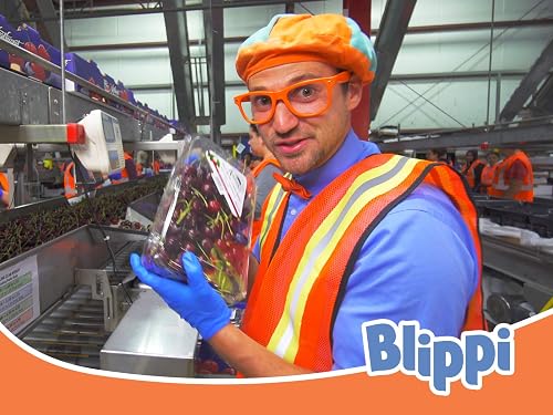 Blippi Visits a Cherry Farm - Cool Field Trip Videos for Kids in Oman ...