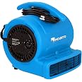 Amazon.com: MOUNTO 1/4hp 1000CFM 2 Speed Air Mover Carpet Dryer Floor ...