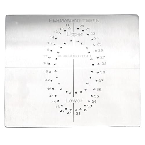 VISION TEK MED Rubber Dam Template for Hole Punching Dental Dams Punch ...