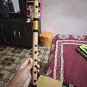 Foxit Professional Flutes C Sharp Medium Right Hand: Amazon.in: Electronics