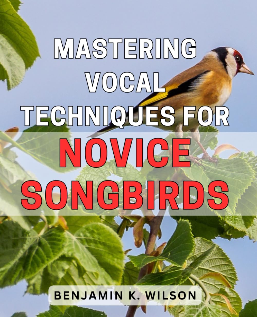 Mua Mastering Vocal Techniques for Novice Songbirds: Unlock Your ...