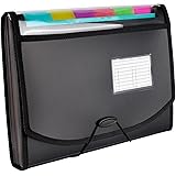 AmazonBasics Expanding Organizer File Folder, Letter Size - Black ...