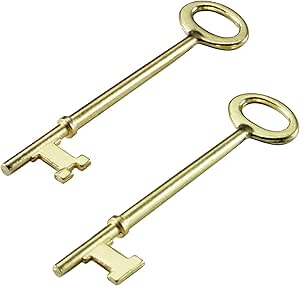 Amazon.com: Lucky Line Skeleton Key 1 Flat 1 Notch Tip, 2 Pack, Combo ...