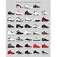 Amazon.com: Pop Chart | Visual History of Air Jordans | 16" x 20" Art ...