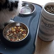 Protexin Pro Fibre for Rabbits 800g Pot: Amazon.co.uk: Pet Supplies