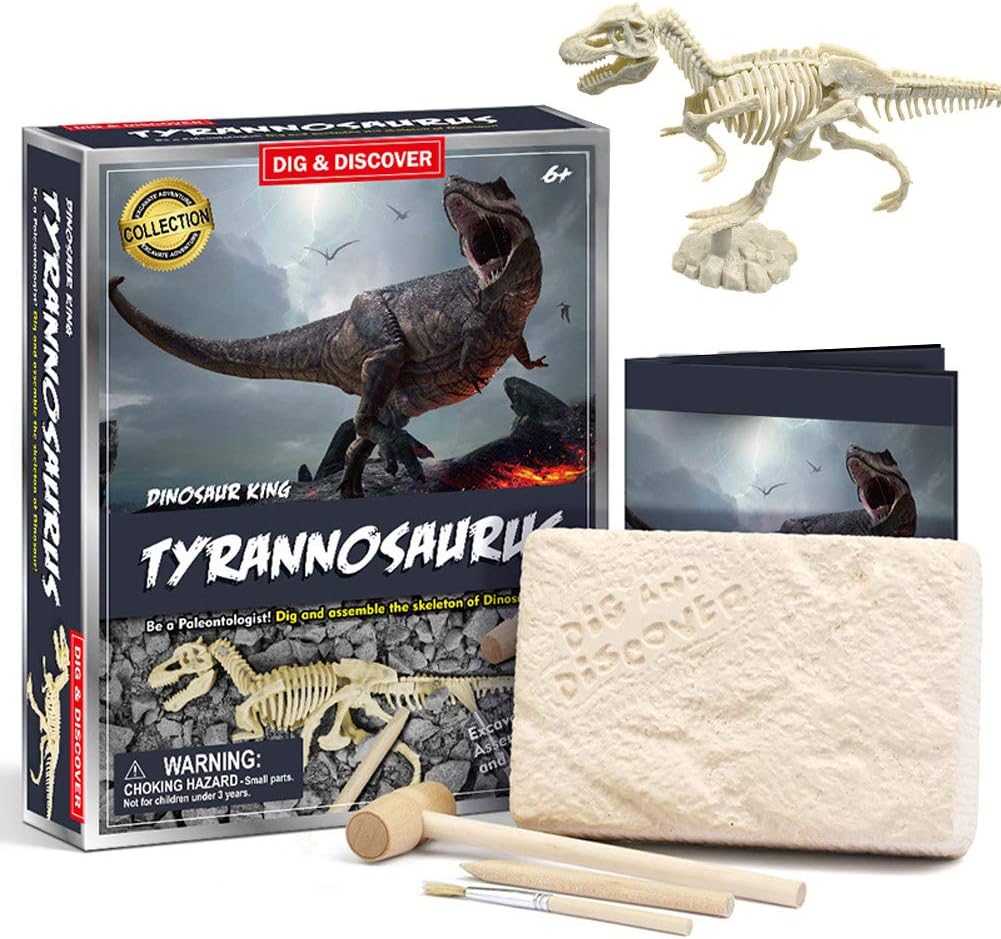 Dinosaur Fossil Digging Kit Archaeological Excavation Toys with Gypsum ...