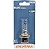 Amazon.com: 10 Pieces Pack - 9006xs Halogen Bulb Light - 55W White ...