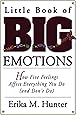 Little Book of Big Emotions: How Five Feelings Affect Everything You Do ...