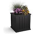 Amazon.com : Mayne Cape Cod 20-Inch Square Planter – Self-Watering ...
