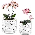 Amazon.com : EFISPSS Orchid Pot with Holes, 5+6Inch Ceramic Plant Pots ...