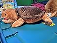 Wildlife Artists Snapping Turtle Plush Toy 15" L: 0653726255218: Amazon ...