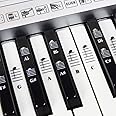 Amazon.com: QMG Piano and Keyboard Music Note Full Set Stickers for ...