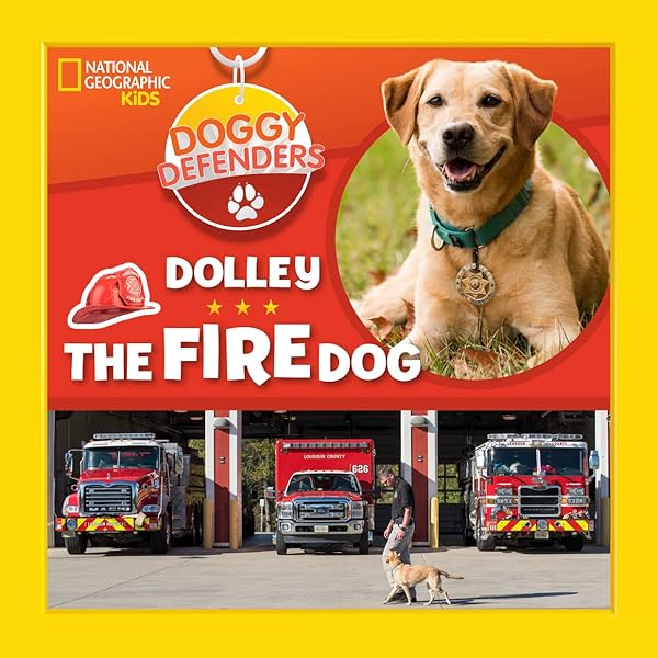 What Is Fire Dog