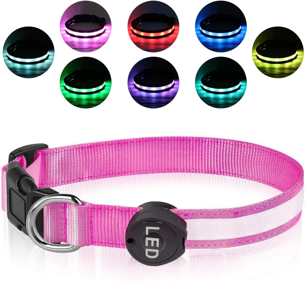 Plartree Collar de Perro LED Recargable USB, Collar con Luz ...