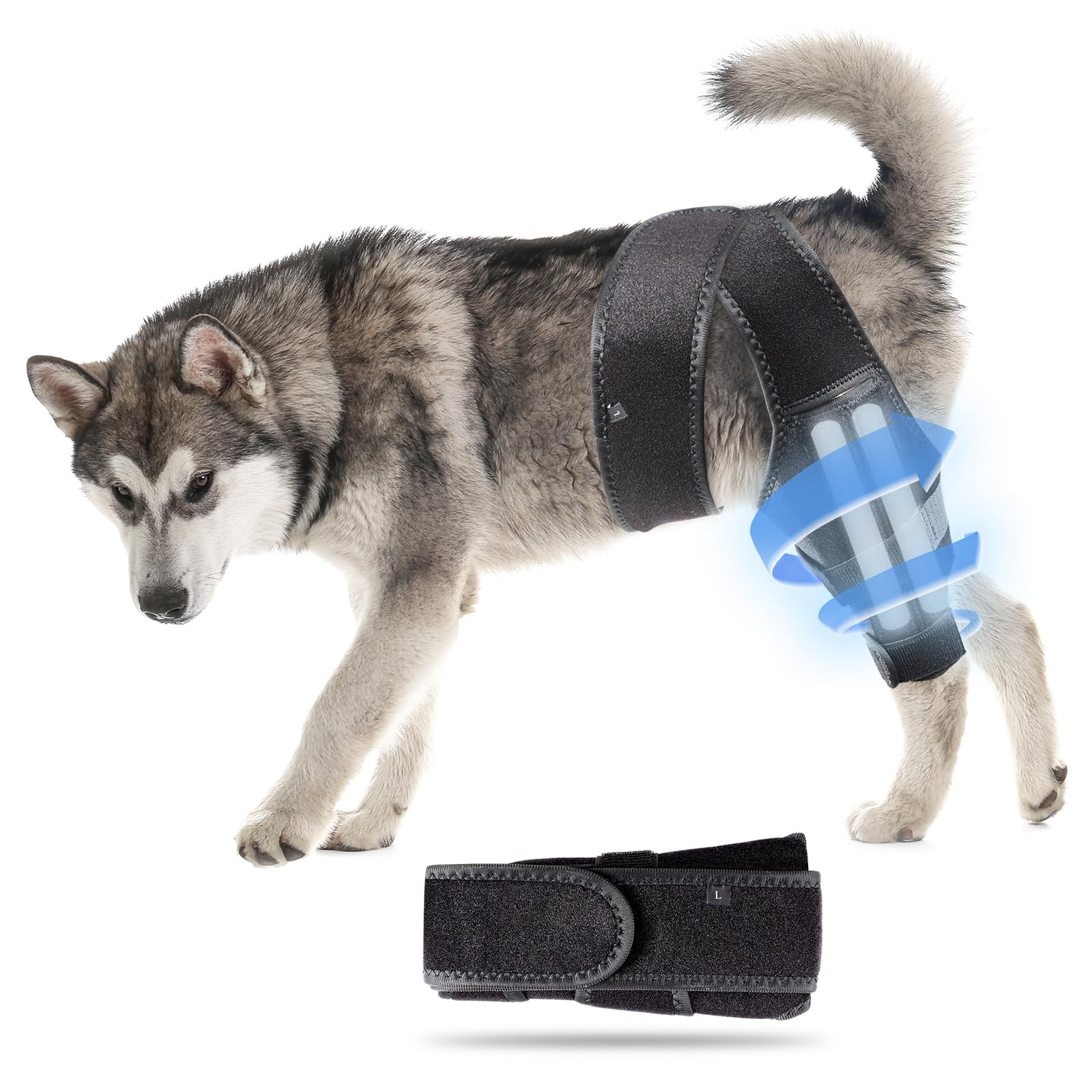 Dog Knee Brace for back leg, Dog ACL Brace Hind Leg for Relieve Joint ...