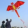 HENGDA KITE-New Ice and Fiery Dragon Kite-Easy to Fly-52inch x 63inch ...