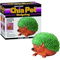 Amazon.com: Chia Pet Sonic The Hedgehog with Seed Pack, Decorative ...