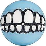 Pet Supplies : Pet Toy Balls : Rogz Fun Dog Treat Ball in various sizes ...