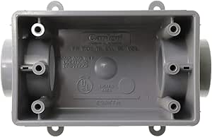 Carlon E981FFN 1-Inch Type FSC 1-Gang FS PVC Switch Box, Non-Metallic ...