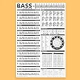 Essential Bass Theory Chart Version 2 (UPDATED & REVISED) • Bass ...