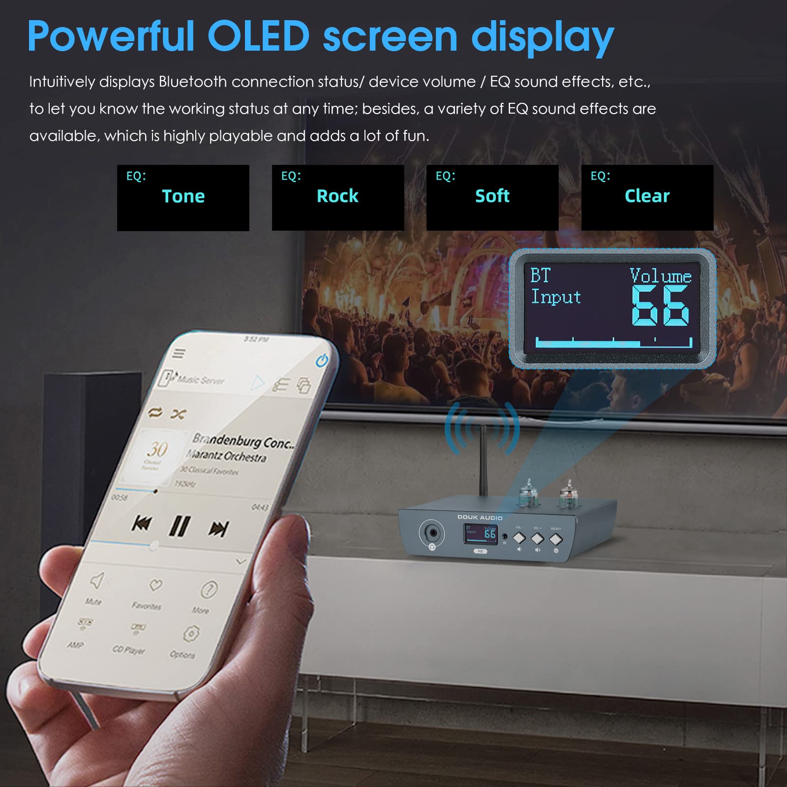 Mua Douk Audio HiFi Tube Bluetooth Preamp Receiver Balanced XLR/RCA Pre ...