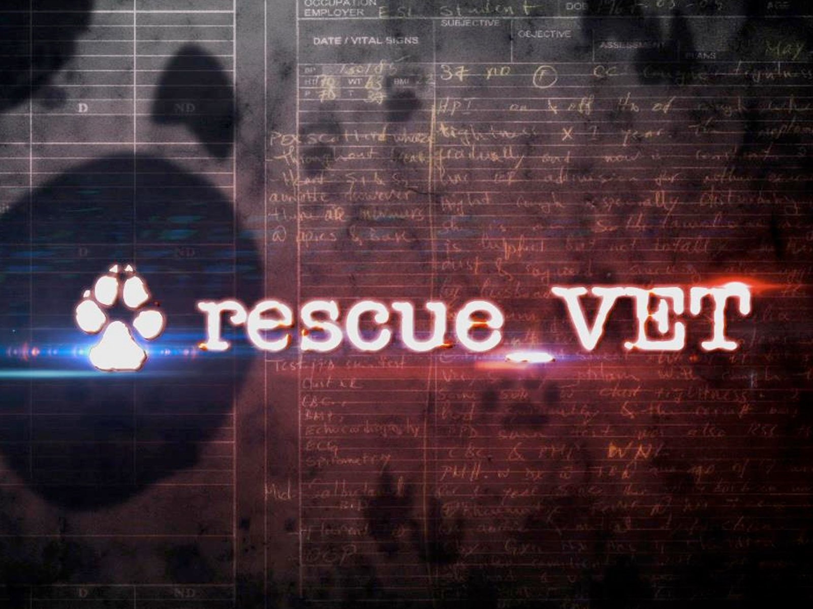 Watch Rescue Vet: Season 1 | Prime Video