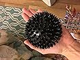 Amazon.com: Massage Ball Set - Set of Four, with Varying Densities and ...