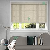 Amazon.com: Yoolax Motorized Dual Roller Shades for Window with Remote Control Smart Blind Shade ...